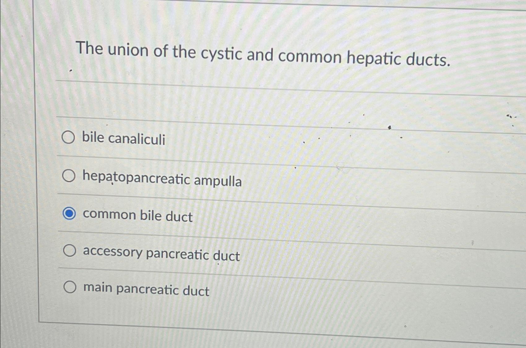 Solved The union of the cystic and common hepatic ducts.bile | Chegg.com