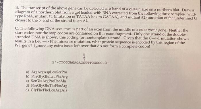 Solved A. The sequence of hypothetical eukaryotic gene shown | Chegg.com