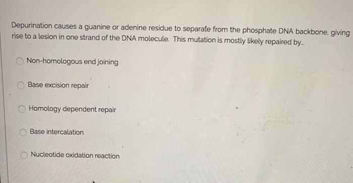 Solved Depurination causes a guanine or adenine residue to | Chegg.com