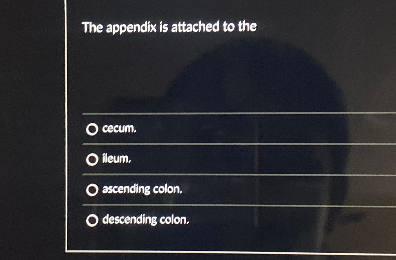 Solved The appendix is attached to thececum.ileum.ascending | Chegg.com