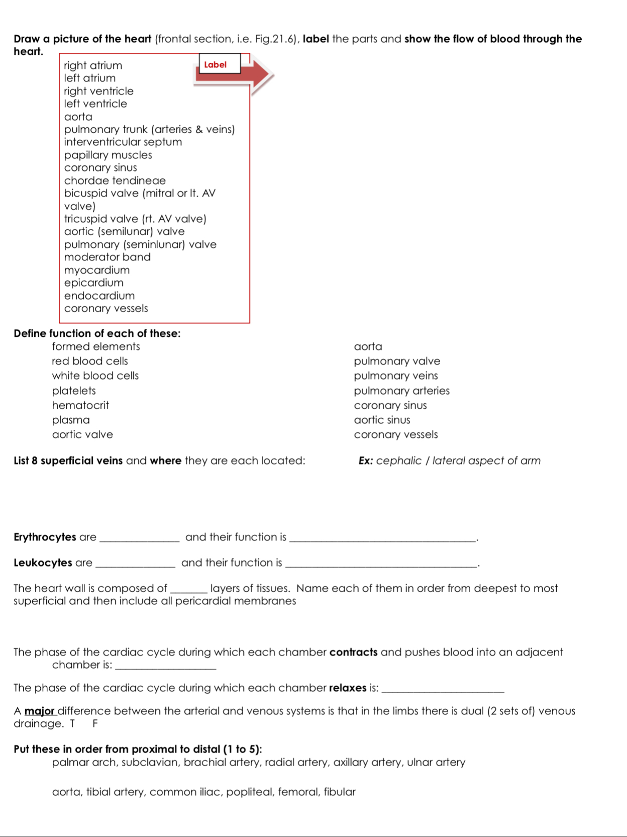 Solved Draw a picture of the heart (frontal section, i.e. | Chegg.com