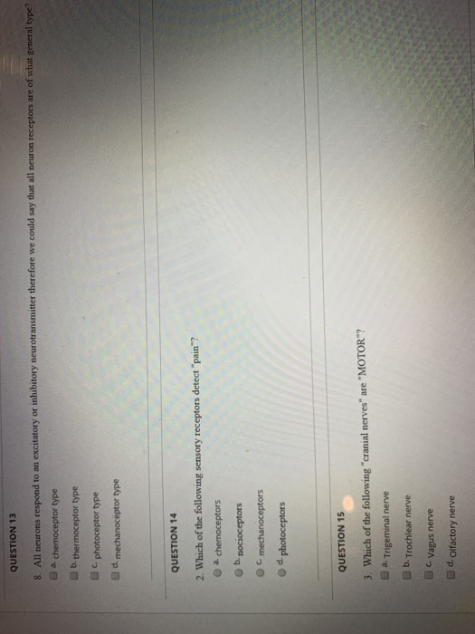 Solved QUESTION 13 8. All neurons respond to an excitatory | Chegg.com