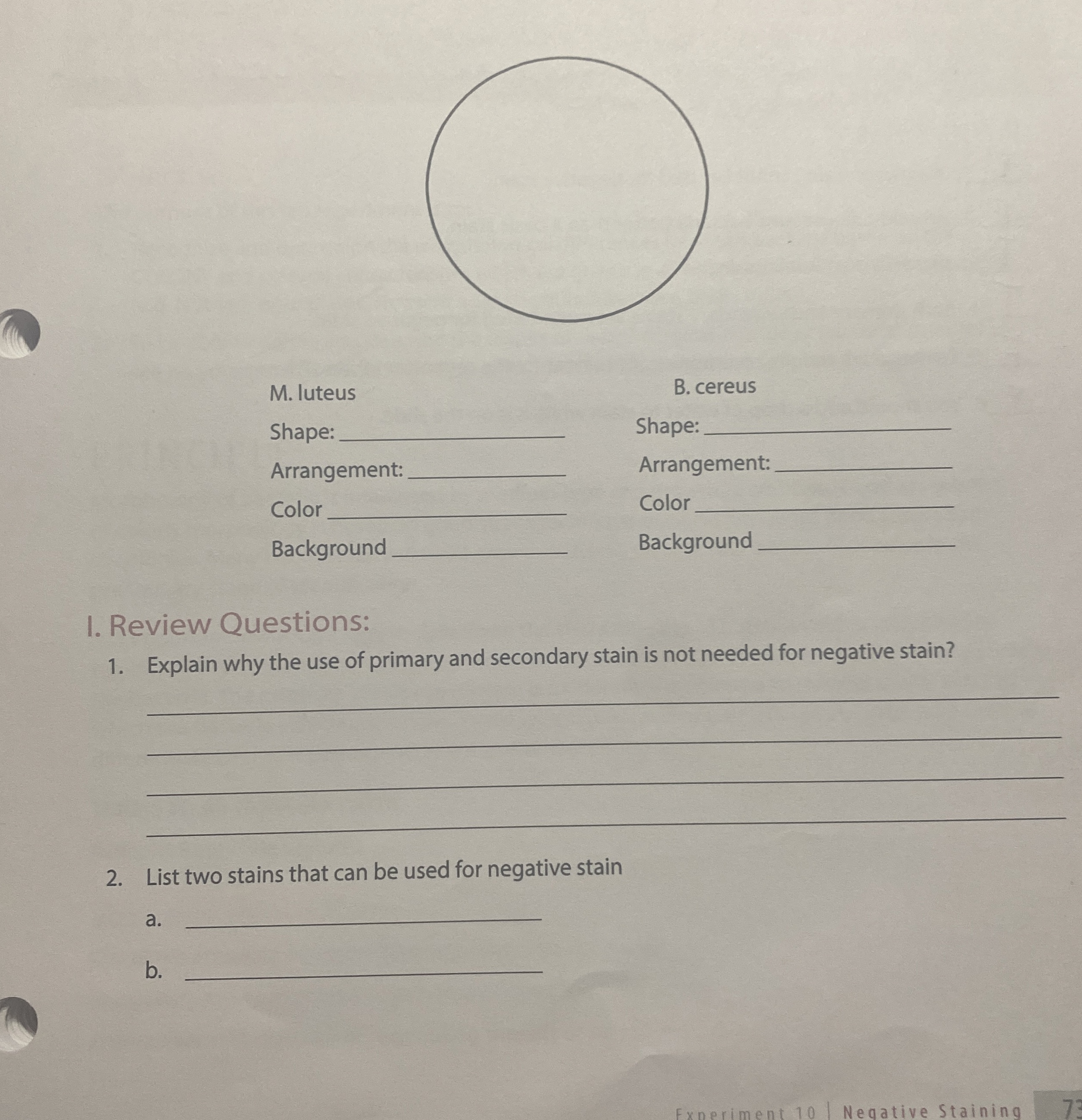 Solved M. ﻿luteusShapeArrangement:ColorBackgroundB. | Chegg.com