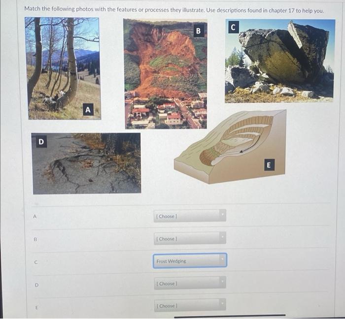 Solved Match the following photos with the features or | Chegg.com