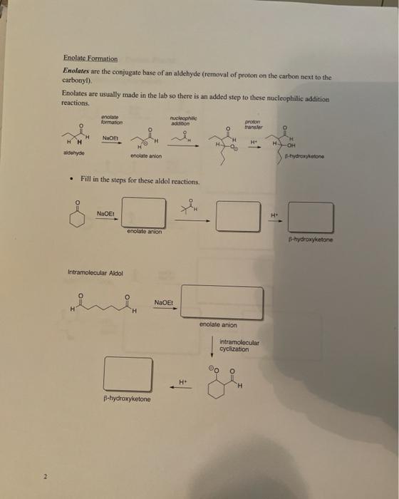 Solved Enolate Formation Enolates are the conjugate base of | Chegg.com