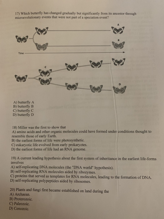 Solved 7) Microevolution, or evolution at its smallest | Chegg.com