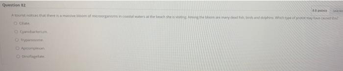 Solved Current classification of prokaryotes is based on O | Chegg.com