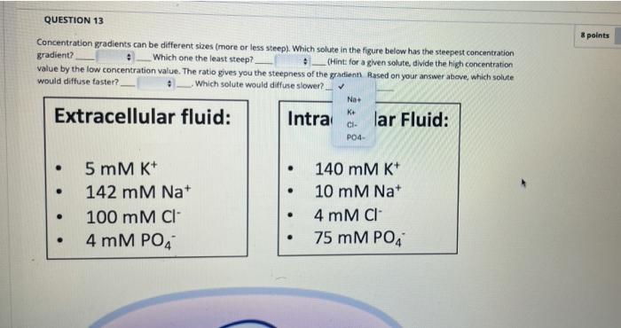 Solved QUESTION 13 8 points Concentration gradients can be | Chegg.com