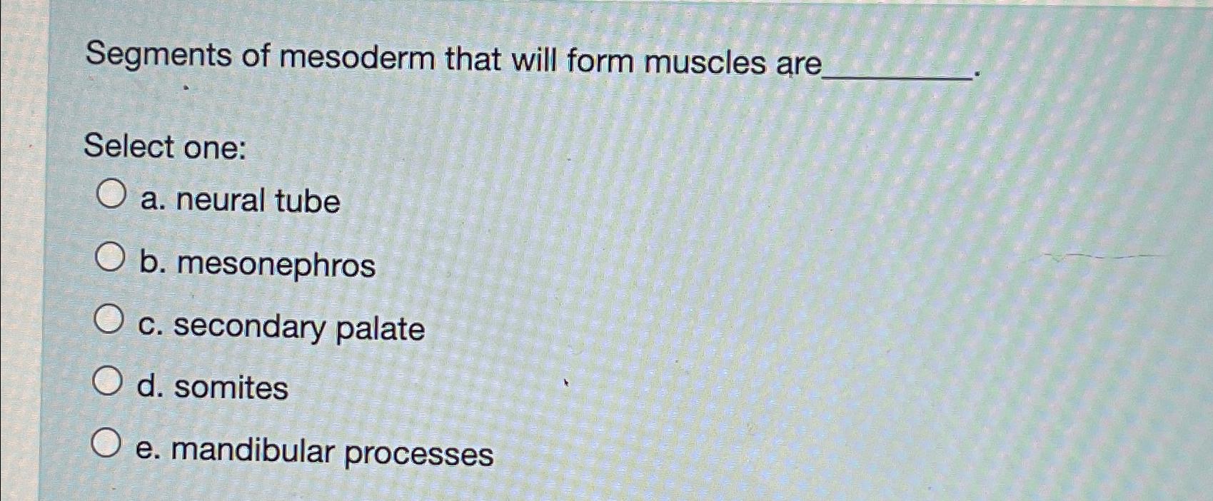 Solved Segments of mesoderm that will form muscles areSelect | Chegg.com