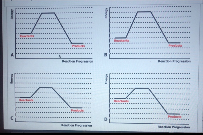 Solved Energy Energy Reactants Reactants Products Products | Chegg.com
