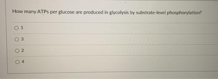 Solved How many ATPs per glucose are produced in glycolysis | Chegg.com