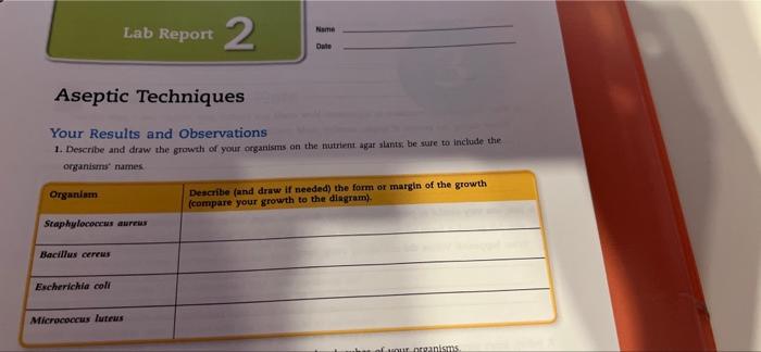 Solved Lab Report 2 Name Date Aseptic Techniques Your | Chegg.com