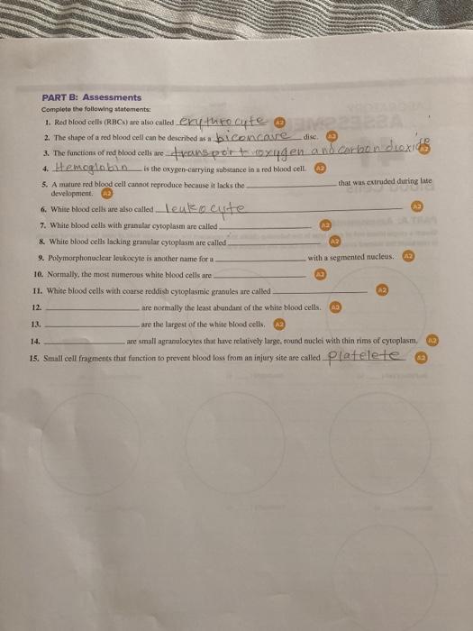 Solved PART B: Assessments Complete the following | Chegg.com