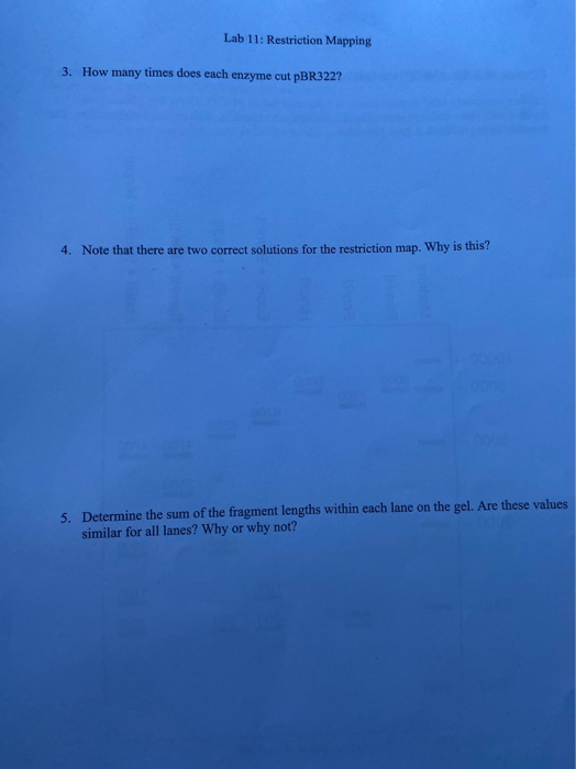 Solved Lab 11: Restriction Mapping 3. How many times does | Chegg.com