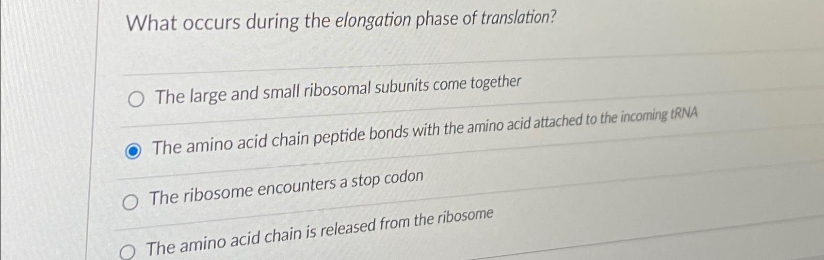 Solved What occurs during the elongation phase of | Chegg.com