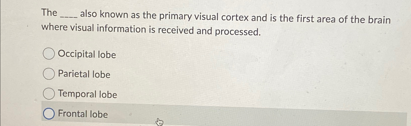 Solved The also known as the primary visual cortex and is | Chegg.com