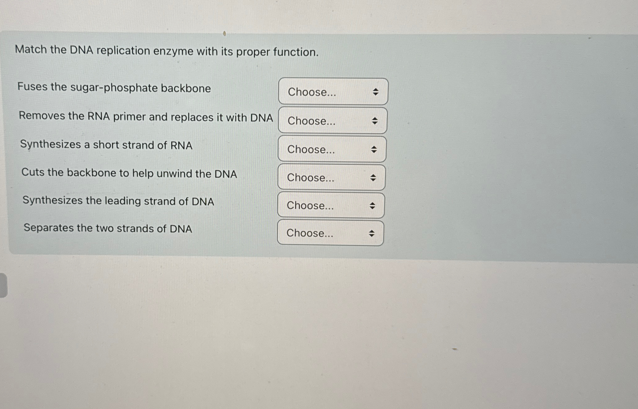 Solved Match the DNA replication enzyme with its proper | Chegg.com