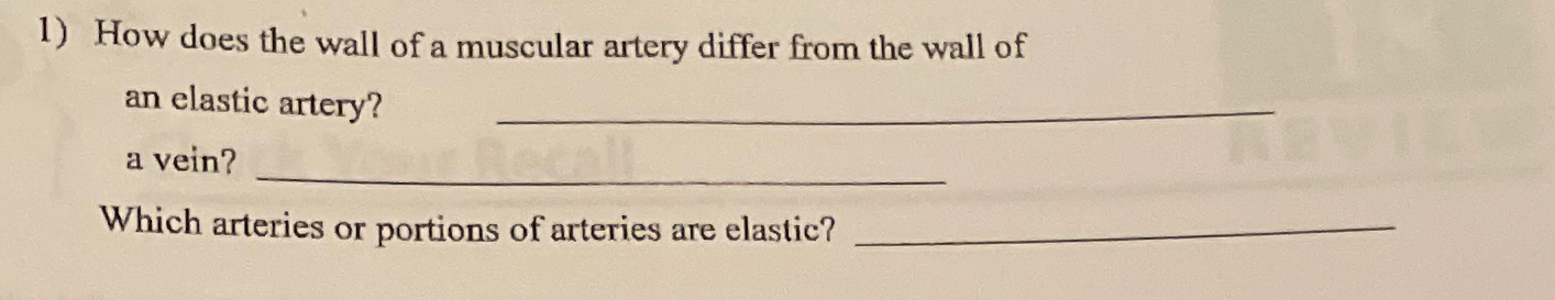 Solved How does the wall of a muscular artery differ from | Chegg.com