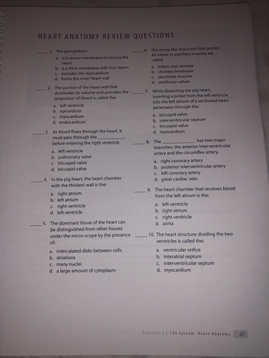 Solved HEART ANATOMY REVIEW QUESTIONS 1. The pericardium a. | Chegg.com