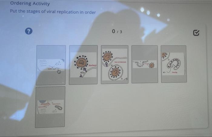 Solved Ordering Activity Put the stages of viral replication | Chegg.com