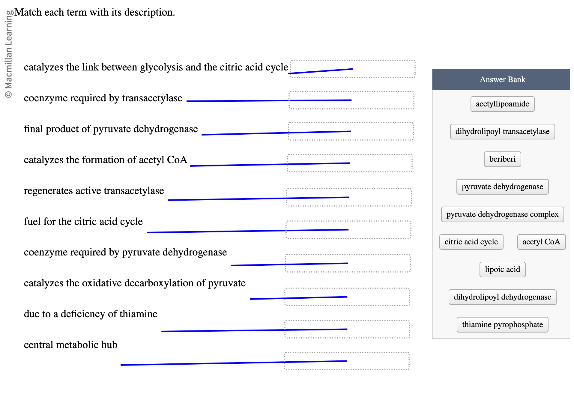 Solved Match each term with its description.catalyzes the | Chegg.com