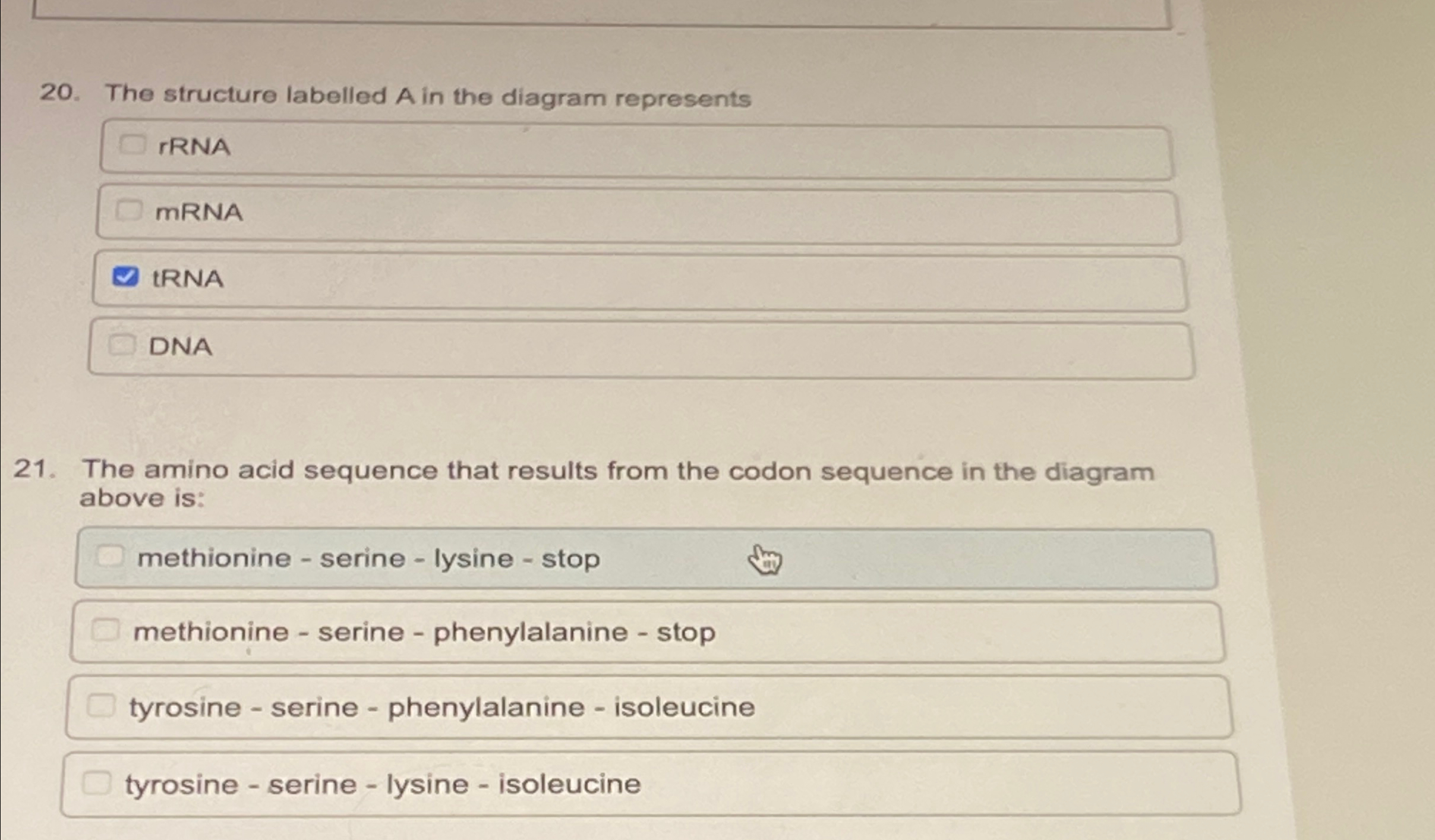 Solved The structure labelled A ﻿in the diagram | Chegg.com