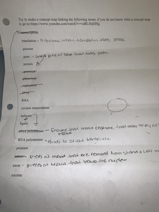 Solved Make a concept map linking the following terms : | Chegg.com