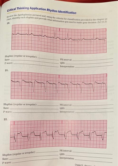 Critical Thinking Application Rhythm Identification | Chegg.com
