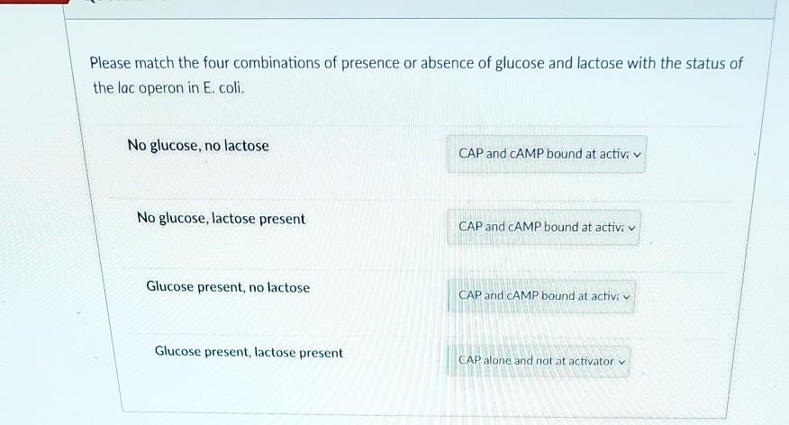Please match each type of mutation or description | Chegg.com