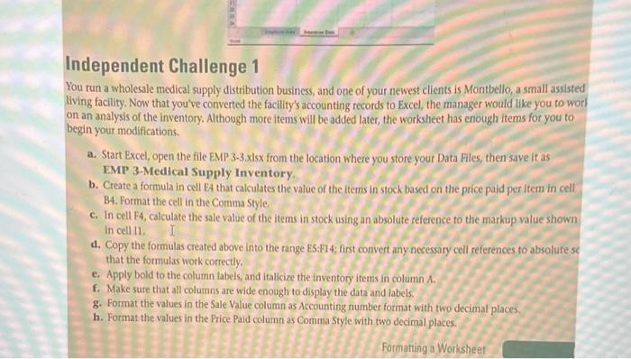 Solved Independent Challenge 1 You run a wholesale medical | Chegg.com