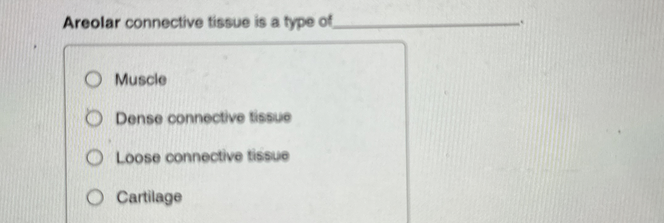Solved Areolar connective tissue is a type of q,MuscleDense | Chegg.com Solved Areolar connective tissue is a type of q,MuscleDense | Chegg.com