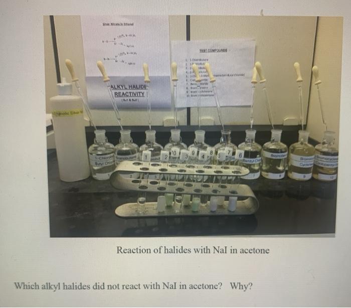 Solved TEST COMPOUNDS A KYL HALIVE E ACTIVIT Ethanolis | Chegg.com