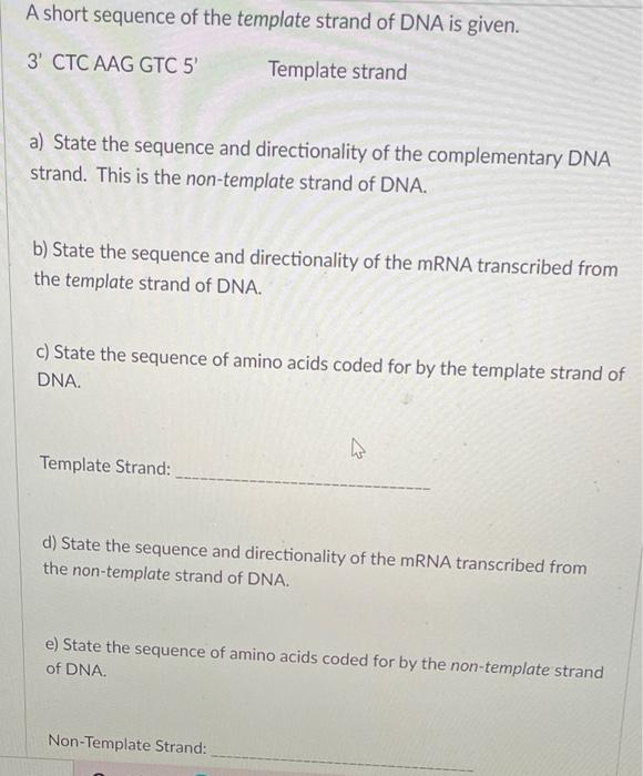 Solved A short sequence of the template strand of DNA is | Chegg.com