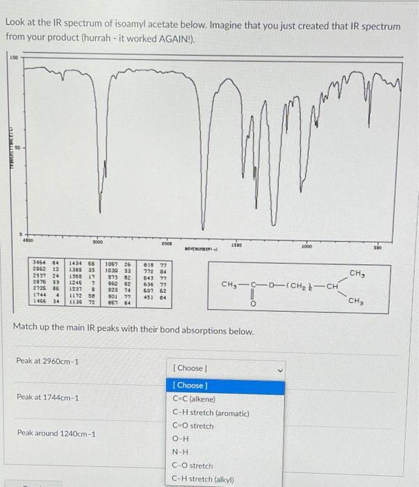Solved Look at the IR spectrum of isoamyl acetate below. | Chegg.com