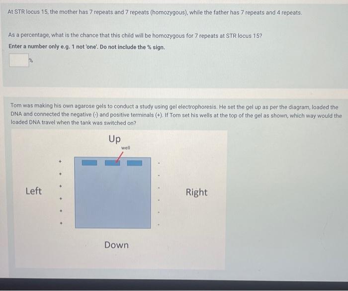 Solved At STR locus 15 , the mother has 7 repeats and 7 | Chegg.com