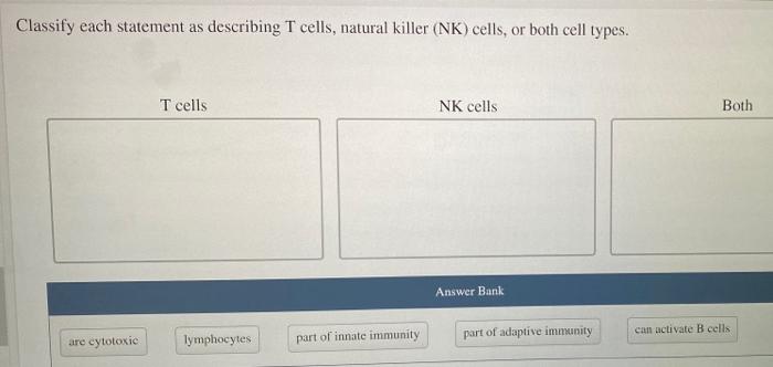 Solved Classify each statement as describing a primary | Chegg.com