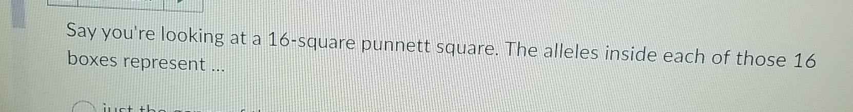 Solved Say you're looking at a 16-square punnett square. The | Chegg.com