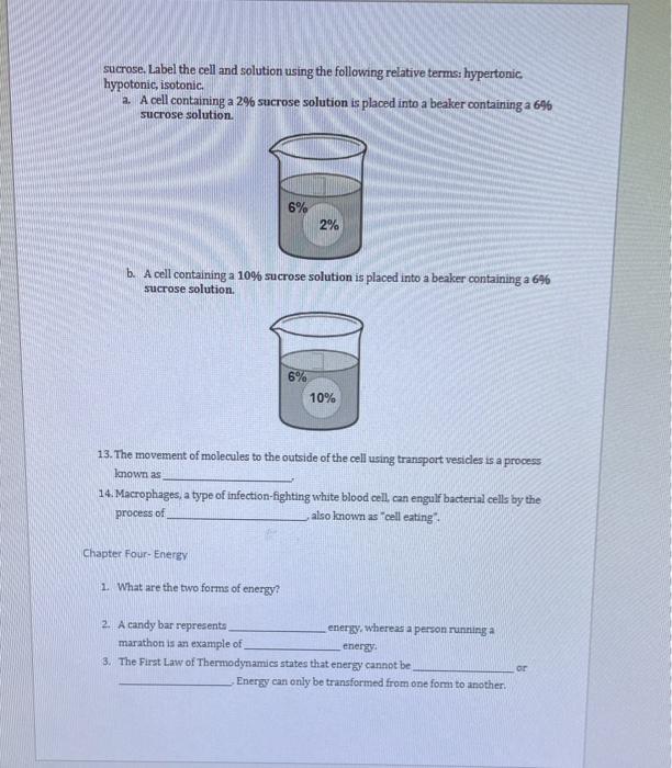 Solved sucrose. Label the cell and solution using the | Chegg.com