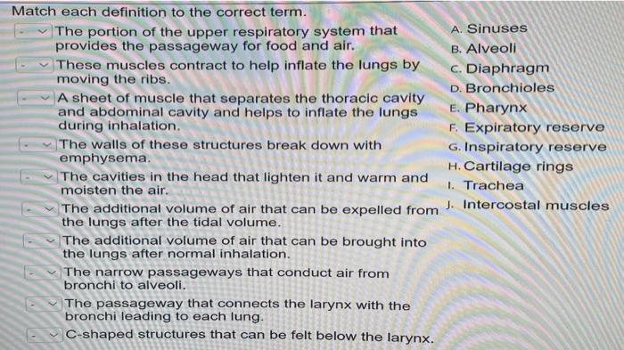 Solved Match each definition to the correct term. The | Chegg.com