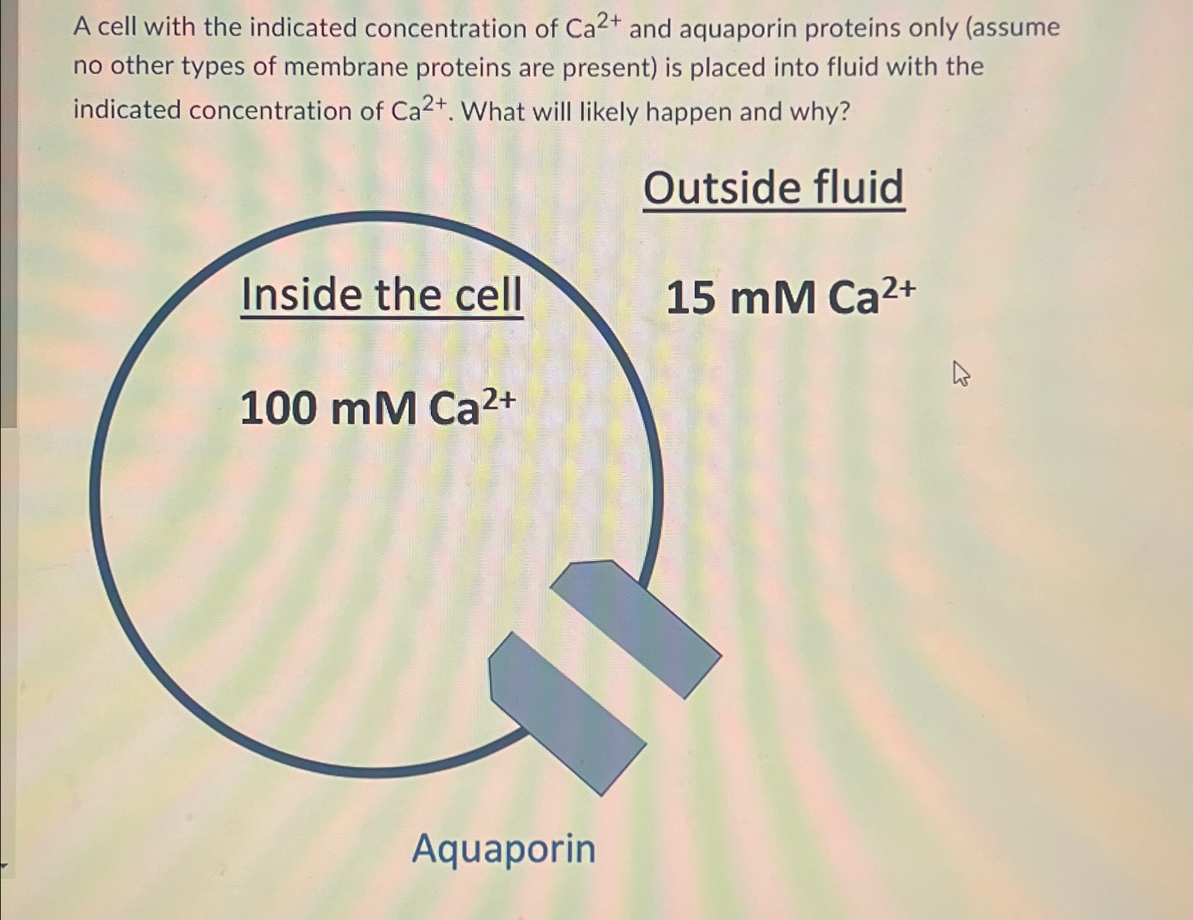 Solved A cell with the indicated concentration of Ca2+ ﻿and | Chegg.com