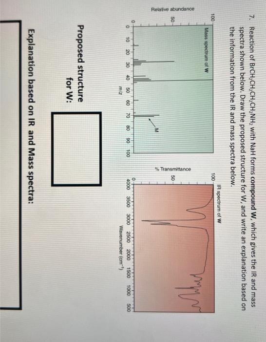 Solved 7. Reaction of BrCH2CH2CH2CH2NH2 with NaH forms | Chegg.com
