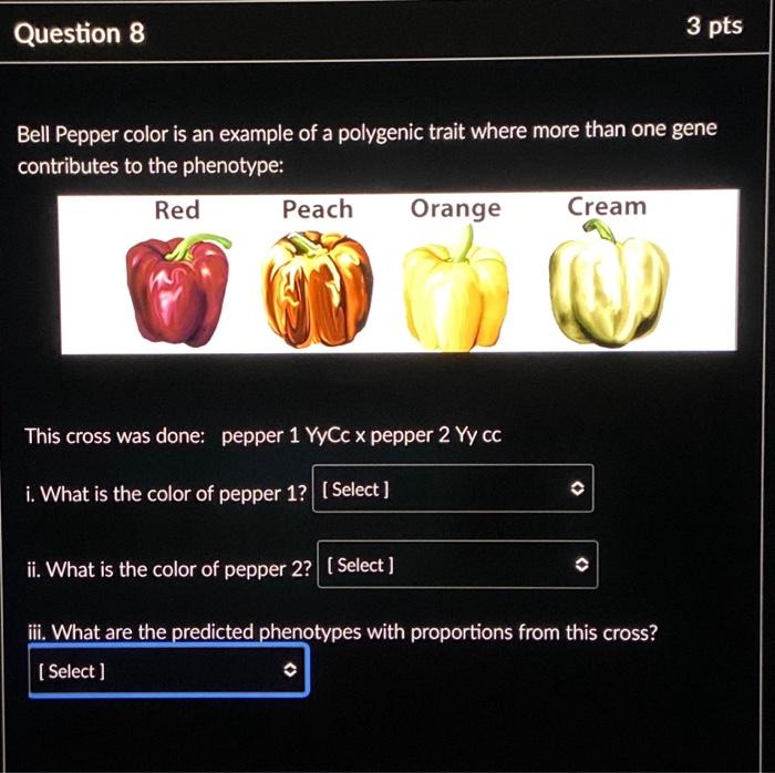 Solved Bell Pepper color is an example of a polygenic trait | Chegg.com
