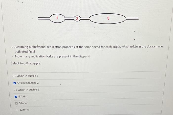 Solved 3 • Assuming bidirectional replication proceeds at | Chegg.com