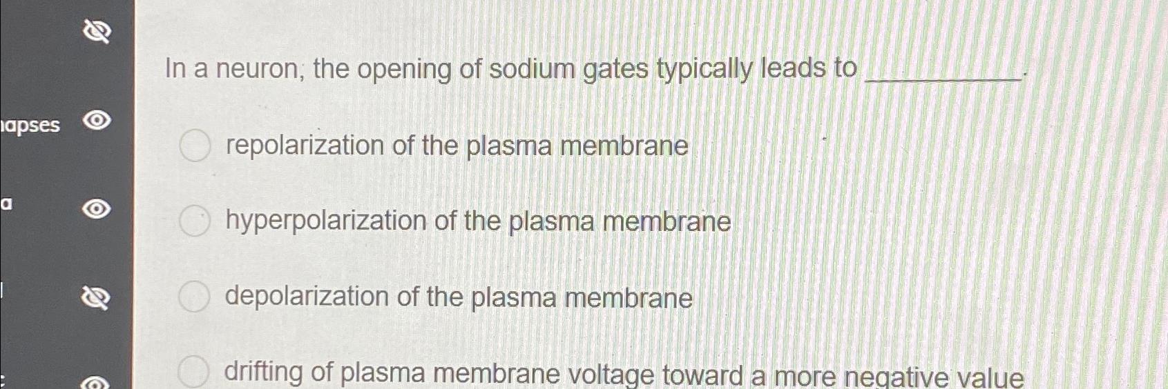 Solved In a neuron; the opening of sodium gates typically | Chegg.com