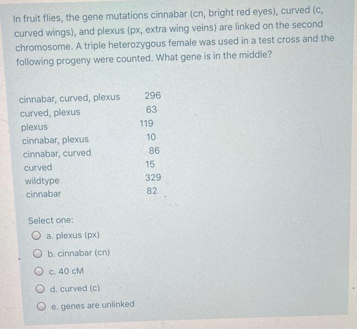 Solved In fruit flies, the gene mutations cinnabar (cn, | Chegg.com