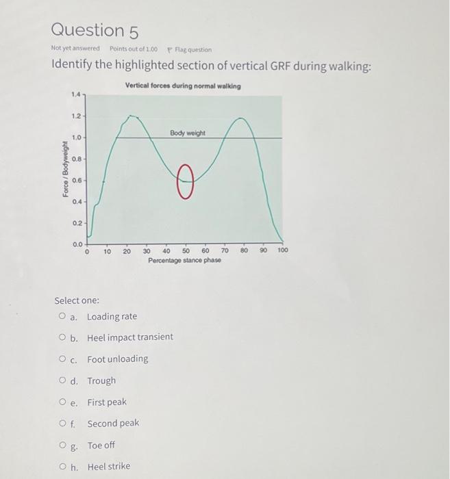 Solved Identify the highlighted section of vertical GRF | Chegg.com