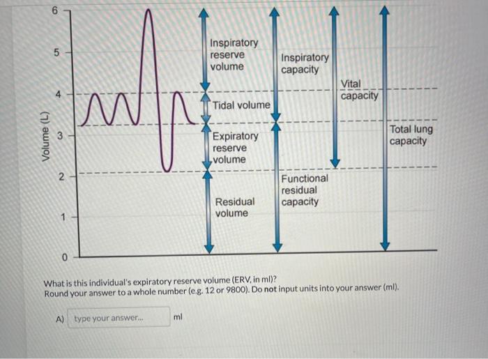 Solved 6 5 Inspiratory reserve volume Inspiratory capacity 4 | Chegg.com