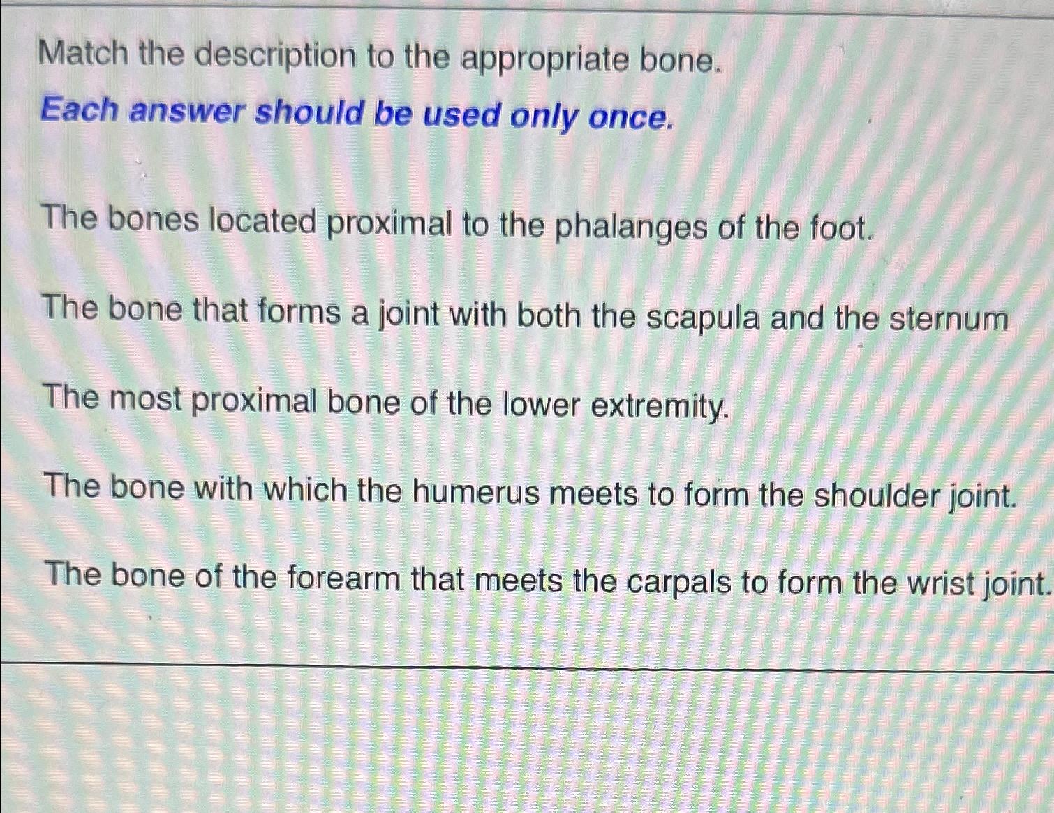 Solved Match the description to the appropriate bone.Each | Chegg.com