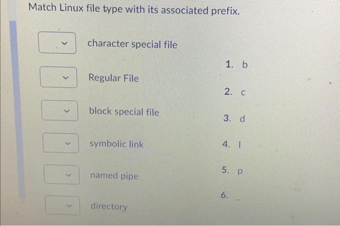 Solved Match Linux File Type With Its Associated Prefix 