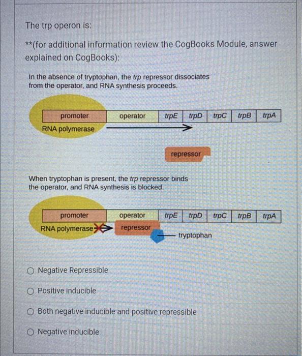Solved The trp operon is: **(for additional information | Chegg.com